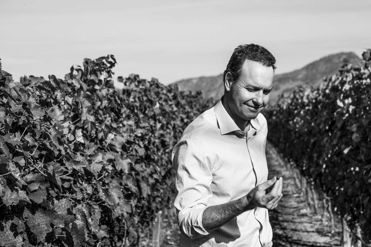 Spain Wine Tours - Rioja & Castile | Fine Vintage