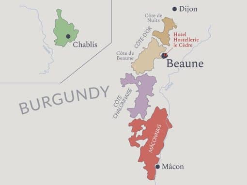 Champagne-Burgundy Wine Tour | Fine Vintage
