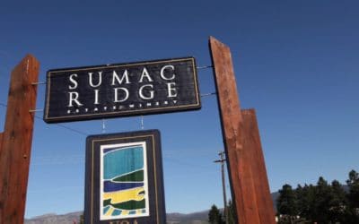 James Cluer at Sumac Ridge Winery, Okanagan BC - Fine Vintage