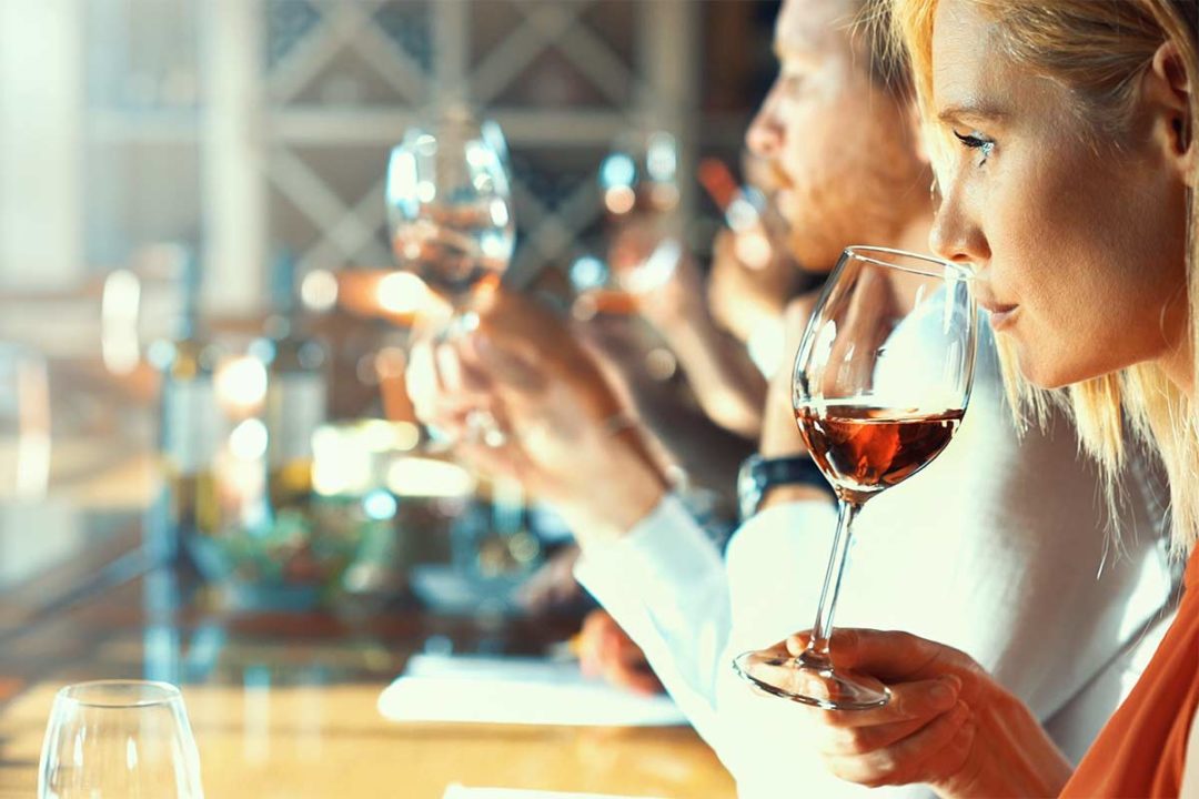 WSET Level 1 Wine Course | Intro to Wine | Fine Vintage