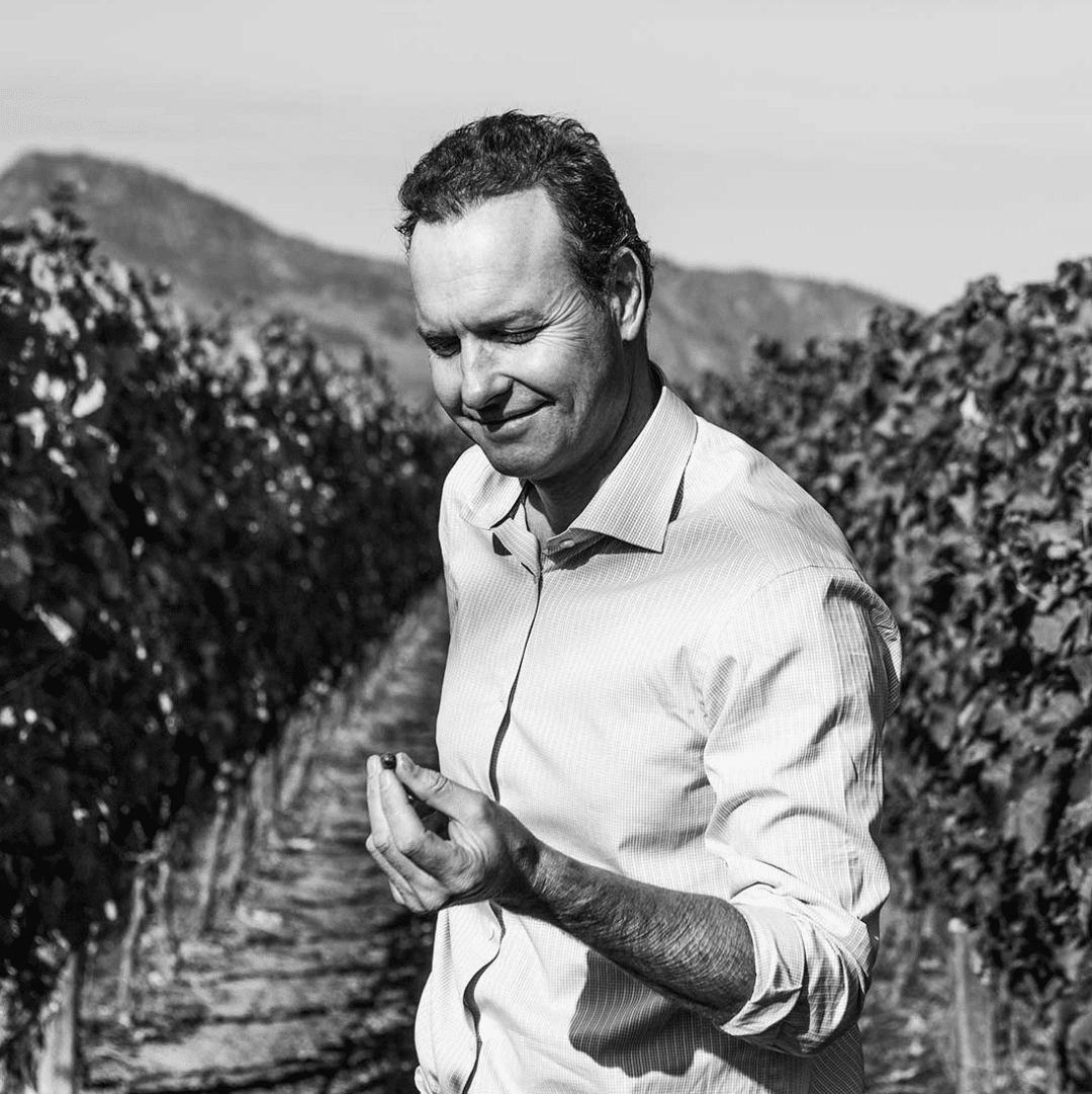 Wine Classes and Wine Tours | Fine Vintage