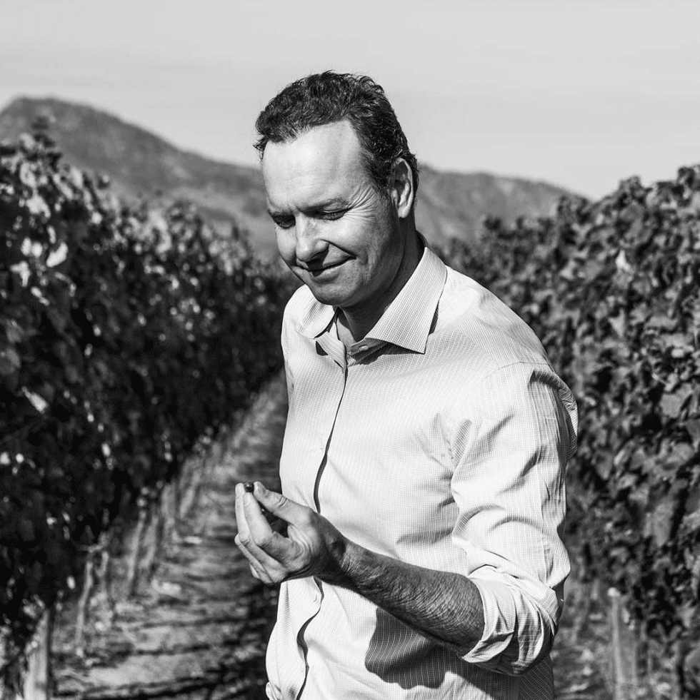 Wine Classes and Wine Tours | Fine Vintage